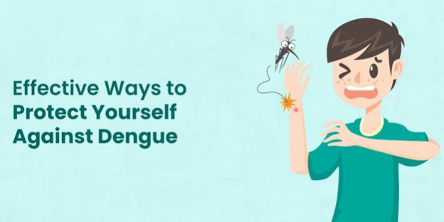 Learn more about the ways to protect yourself from Dengue with best ...