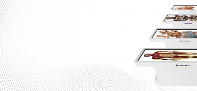 Order Anatomage Table at Reliable Price - Trivitron Healthcare